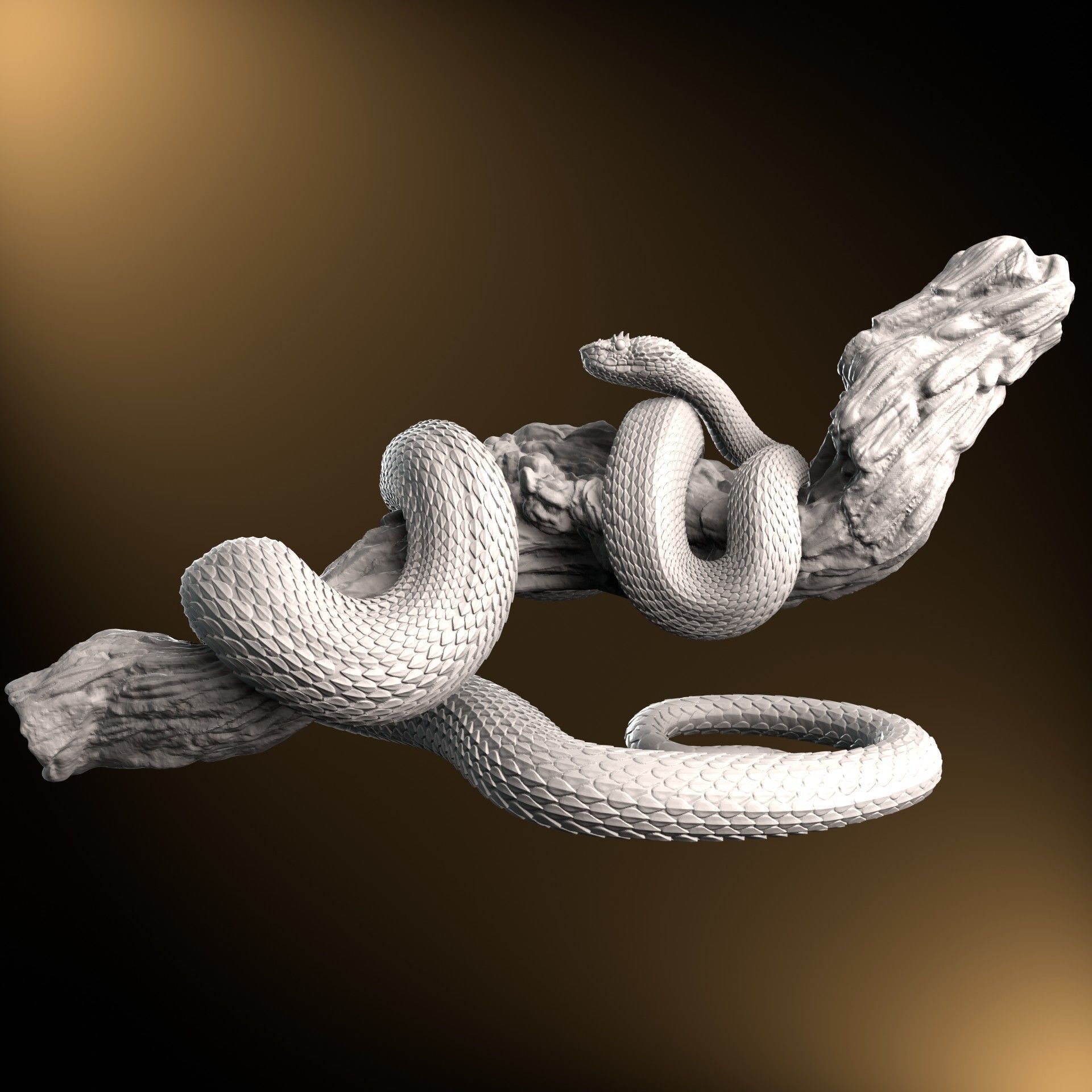 Eyelash Pit Viper Realistic Exotic Snake 3D Print Model 3D model 3D ...