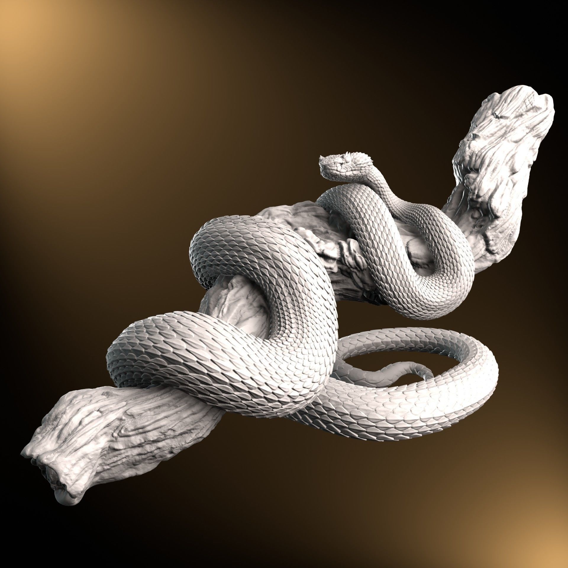Eyelash Pit Viper Realistic Exotic Snake 3D Print Model 3D model 3D ...