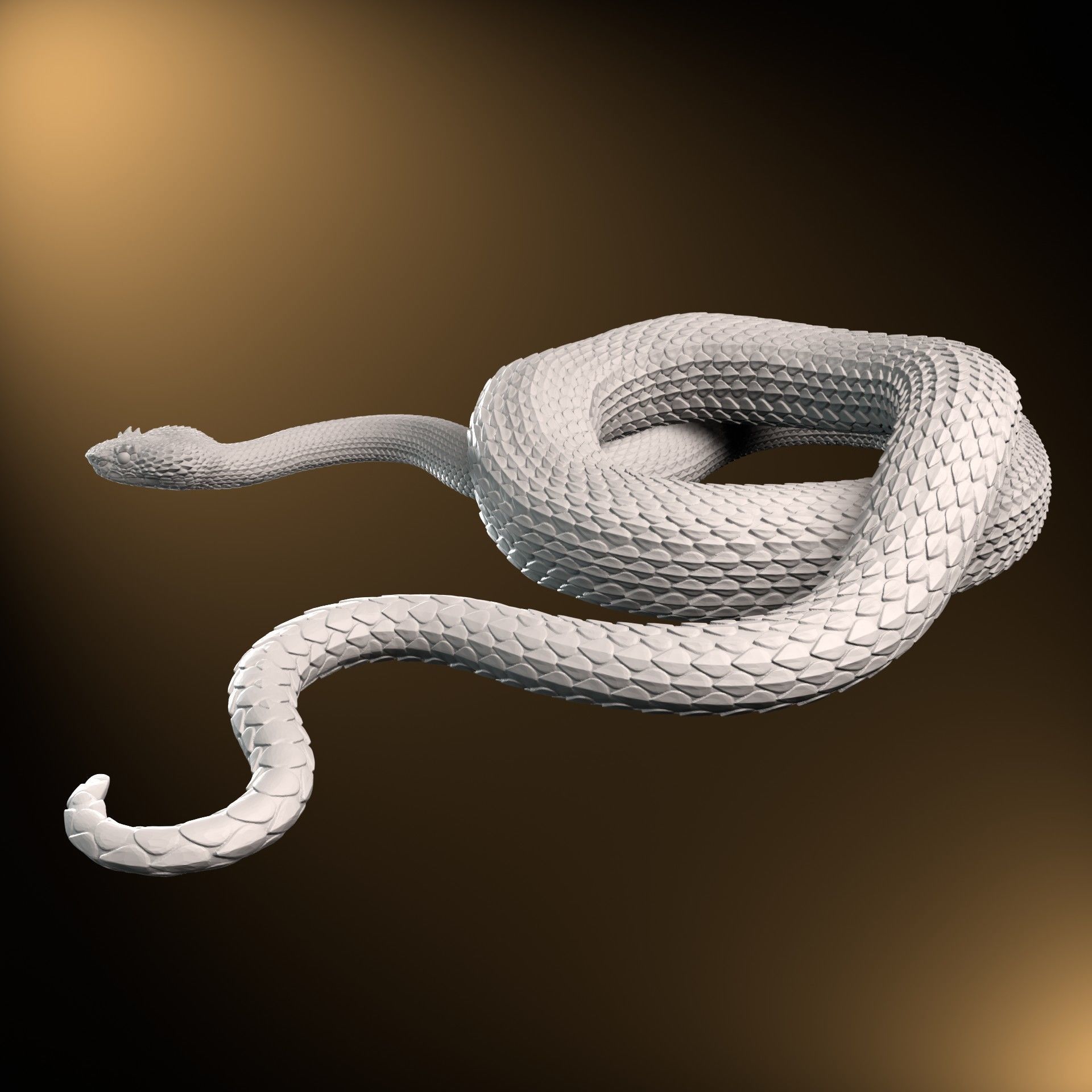 Eyelash Pit Viper Realistic Exotic Snake 3D Print Model 3D model 3D ...