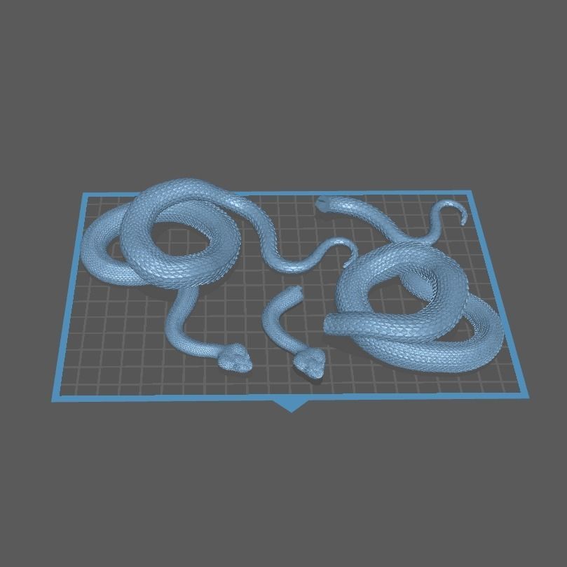 Eyelash Pit Viper Realistic Exotic Snake 3D Print Model 3D model 3D ...