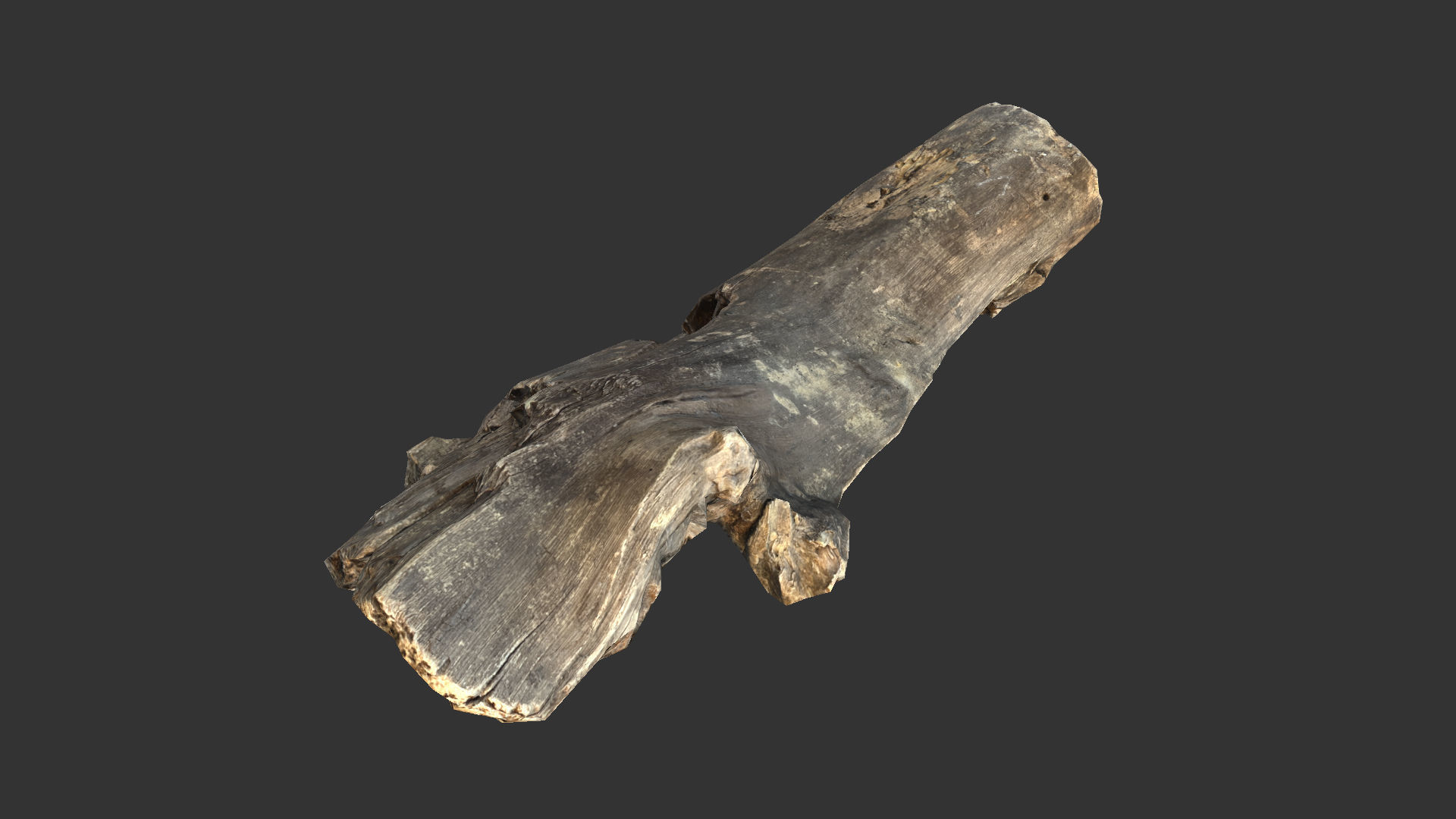 3D model Realistic section of tree trunk VR / AR / low-poly | CGTrader