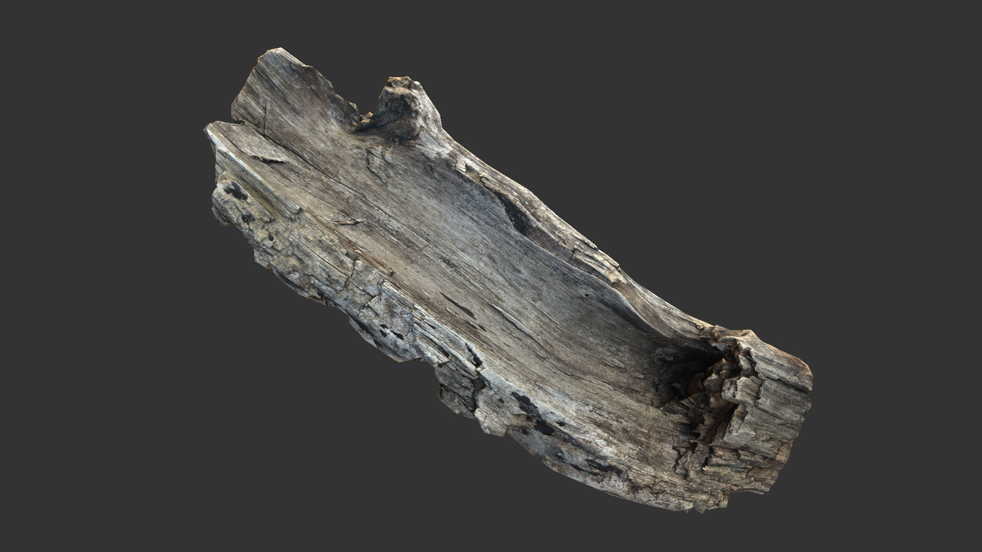 3D model Realistic section of tree trunk VR / AR / low-poly | CGTrader