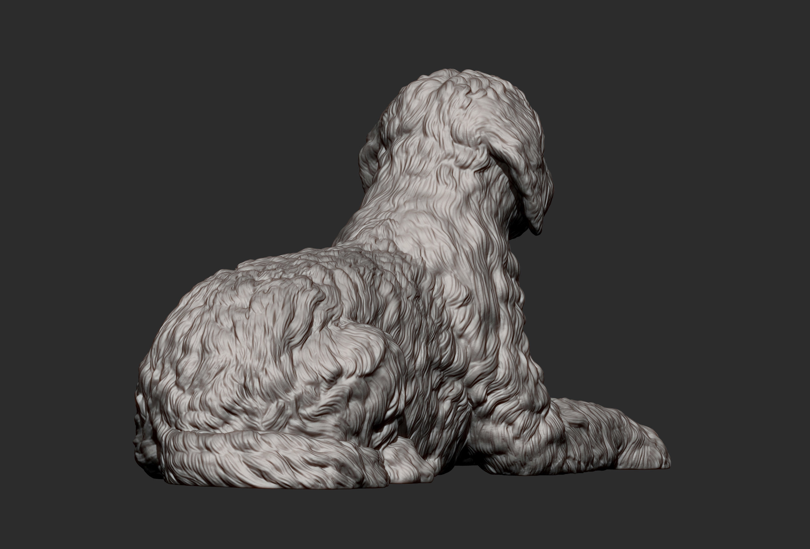 Goldendoodle lies 3D model 3D printable | CGTrader