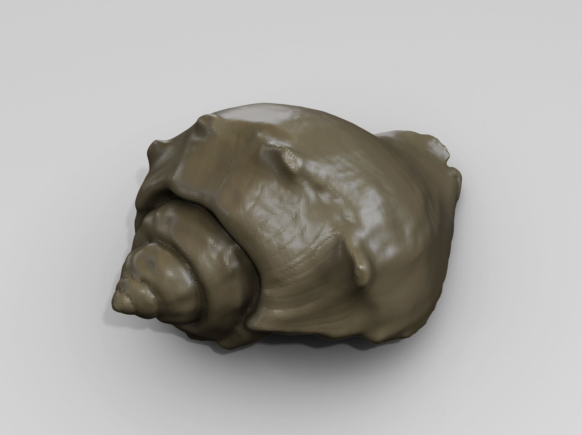 Caracol Marino concha 3D model 3D printable | CGTrader