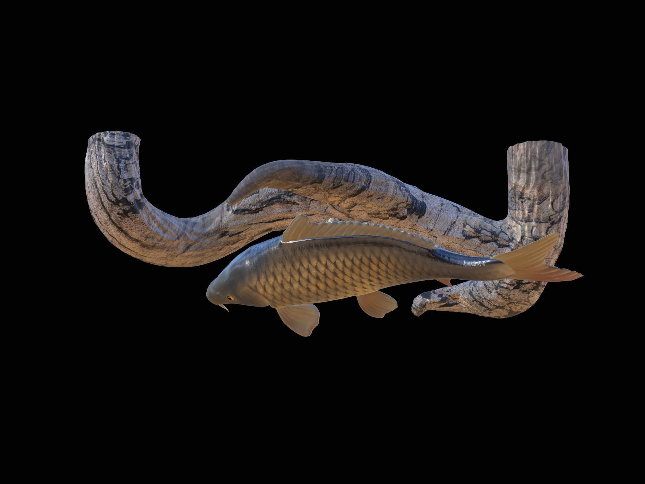CARP UNDERWATER STATUE ON THE WALL DETAILED TEXTURE 3D model 3D ...
