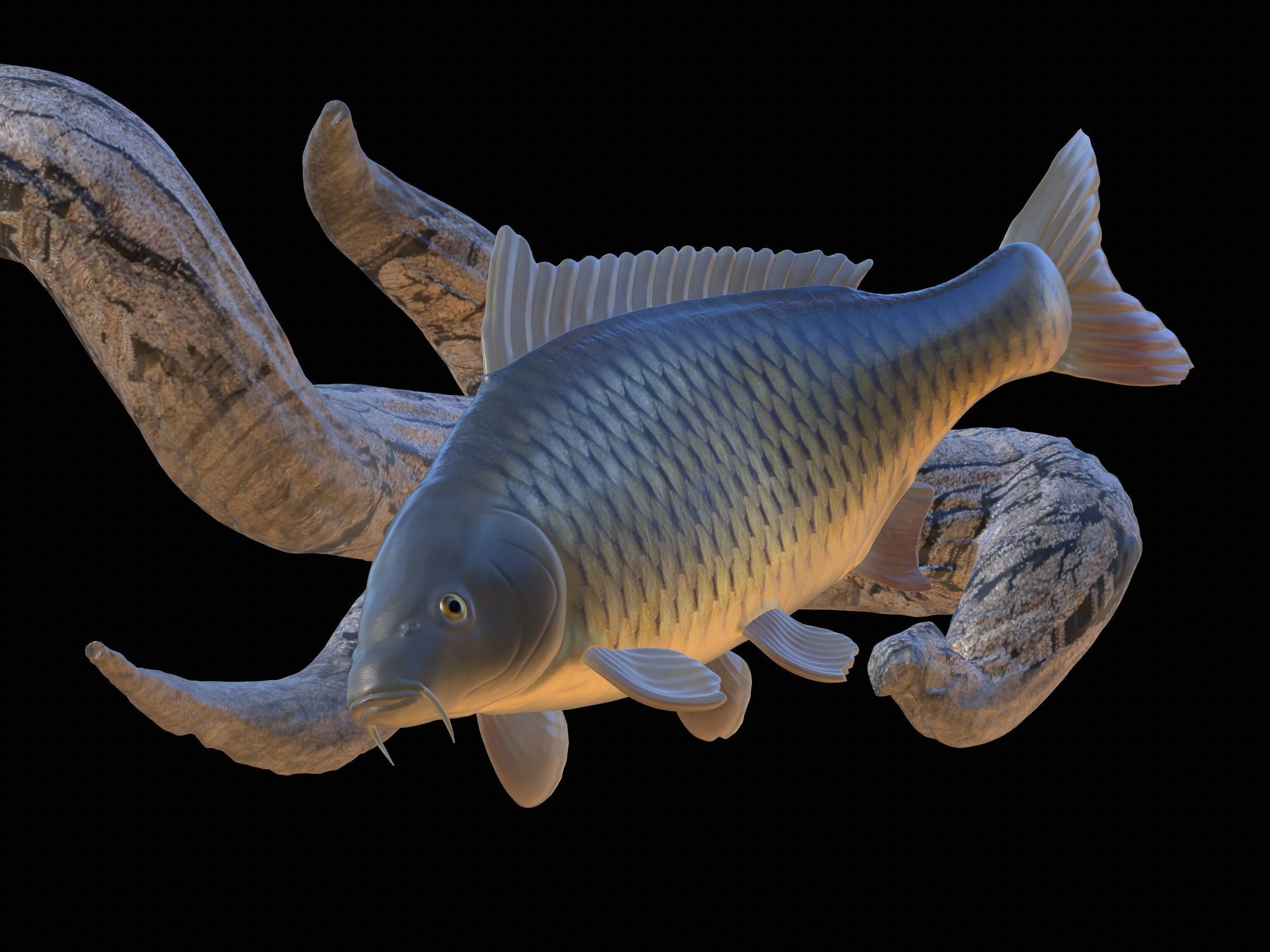 CARP UNDERWATER STATUE ON THE WALL DETAILED TEXTURE 3D model 3D printable | CGTrader
