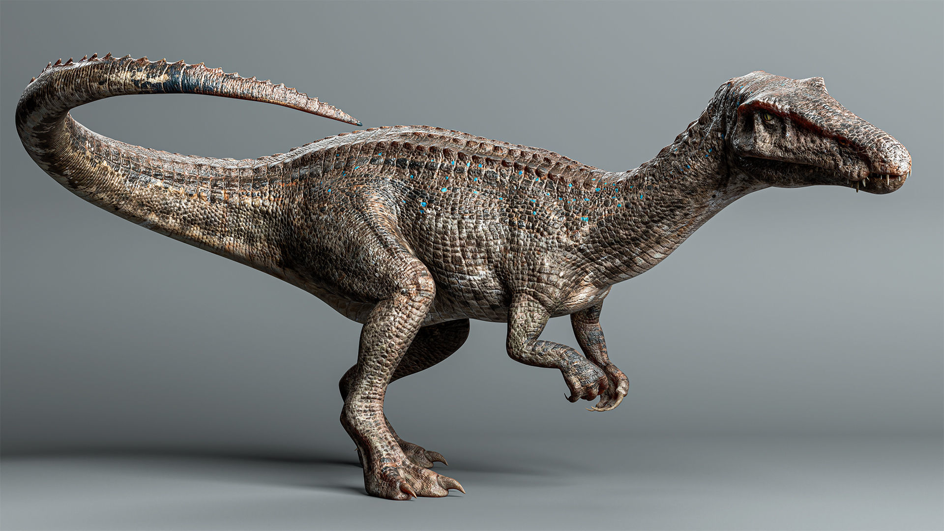 3D model BARYONYX VR / AR / low-poly | CGTrader