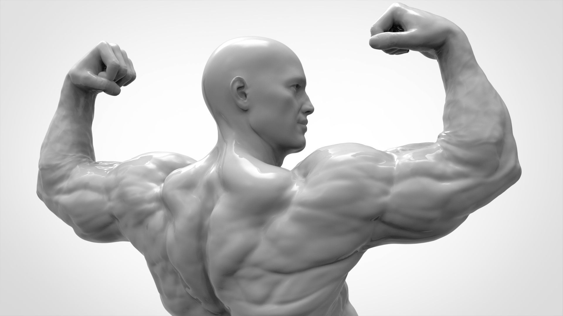 Bodybuilder Pose - Anatomy 3D model 3D printable | CGTrader