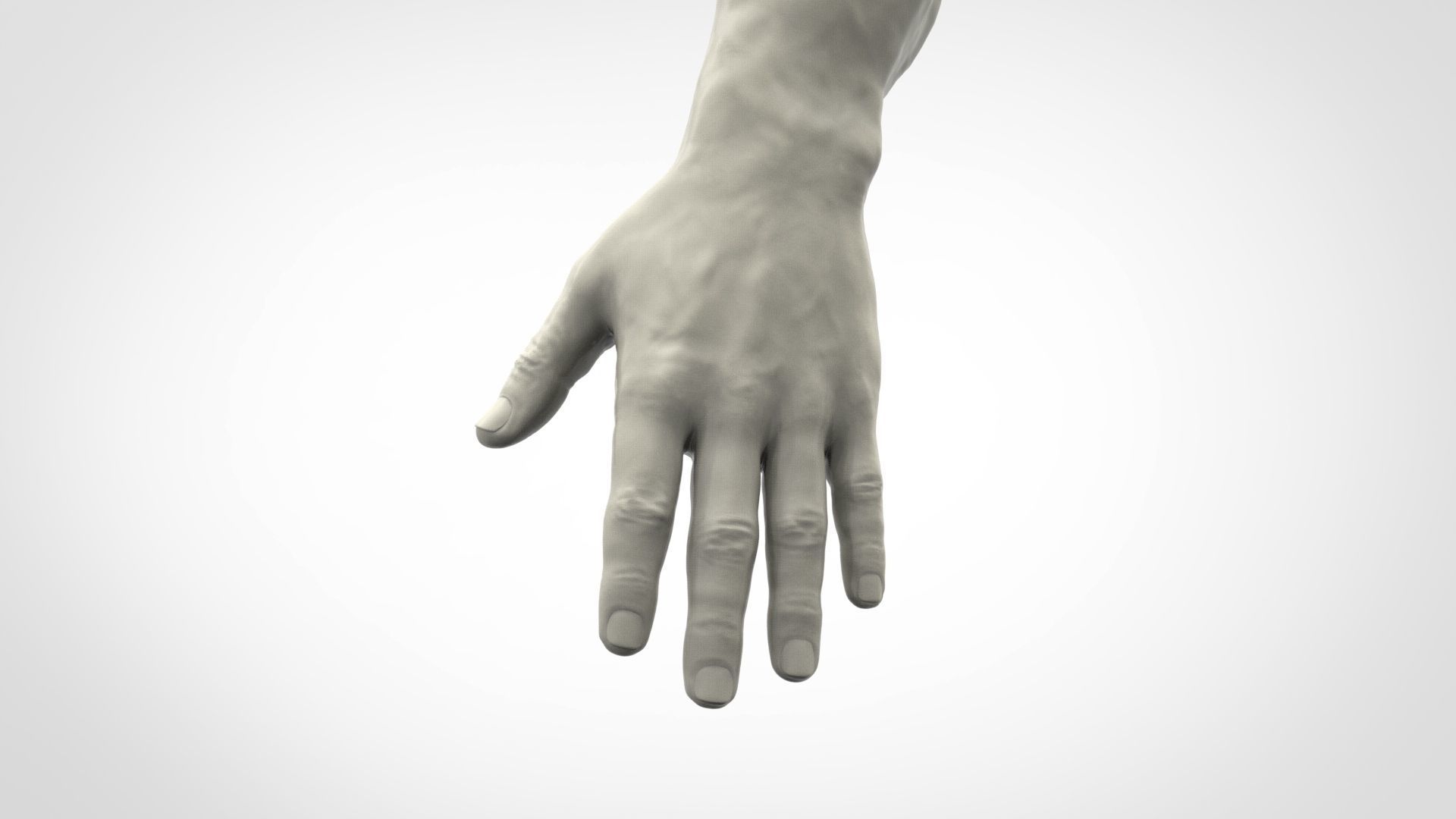 Realistic Human Hand 3D model 3D printable | CGTrader