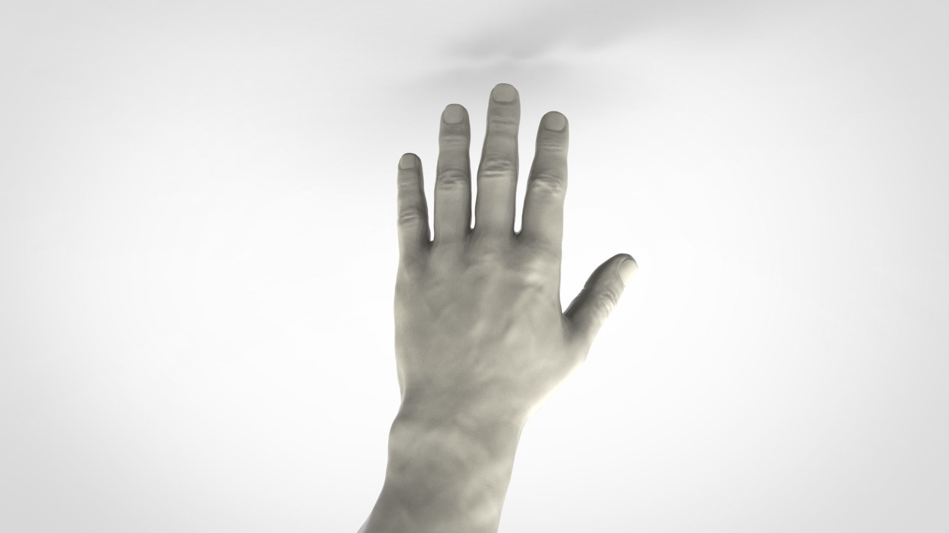 Realistic Human Hand 3D model 3D printable | CGTrader