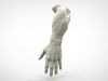 Realistic Human Hand 3D model 3D printable | CGTrader