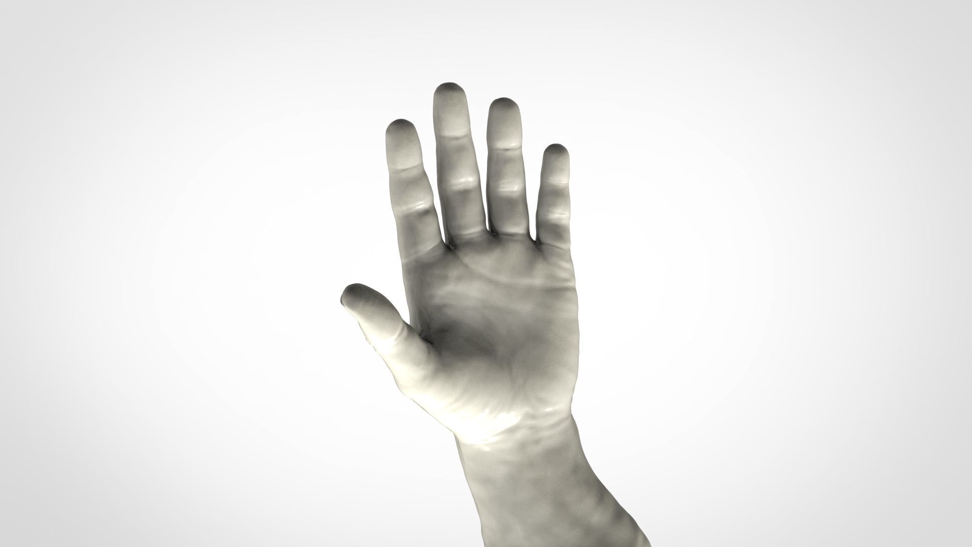 Realistic Human Hand 3D model 3D printable | CGTrader