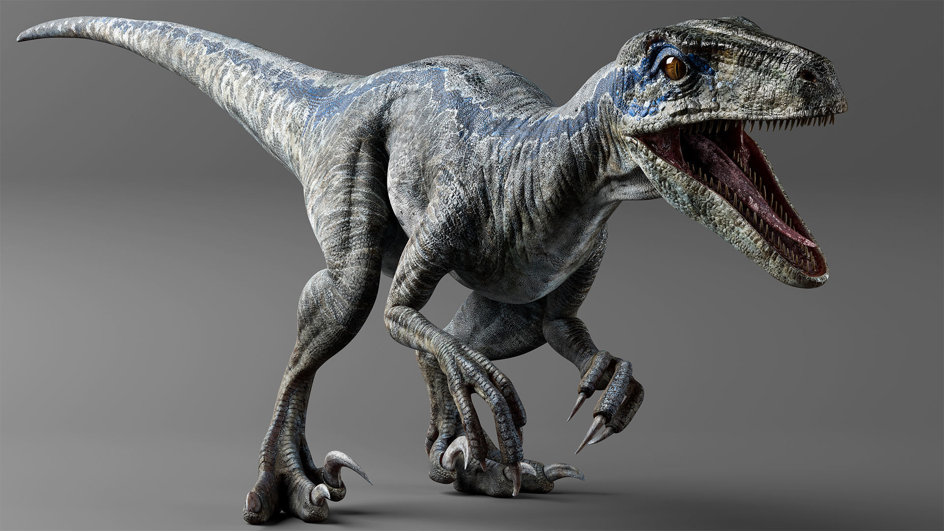 3D model VELOCIRAPTORS VR / AR / low-poly | CGTrader