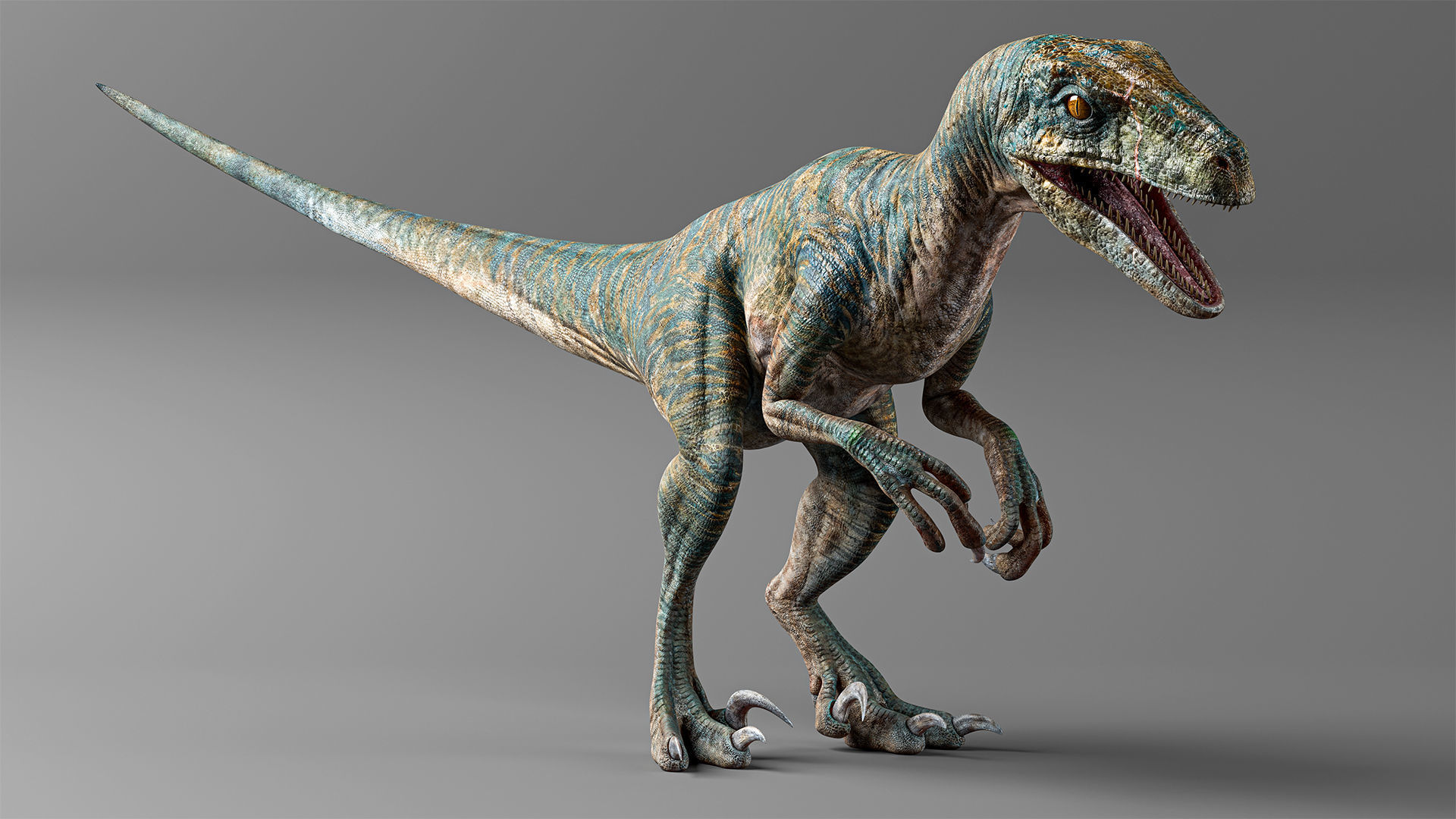 3D model VELOCIRAPTORS VR / AR / low-poly | CGTrader