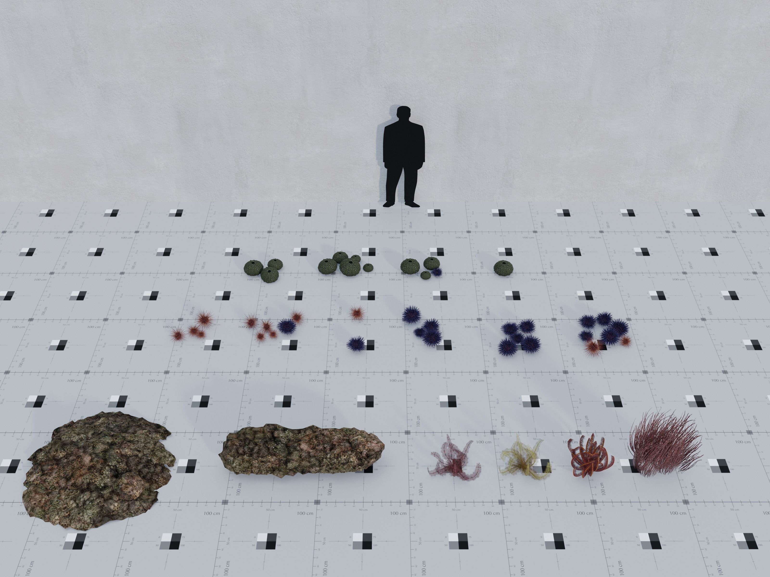 3D model Nature Assets - Marine Biome VR / AR / low-poly | CGTrader