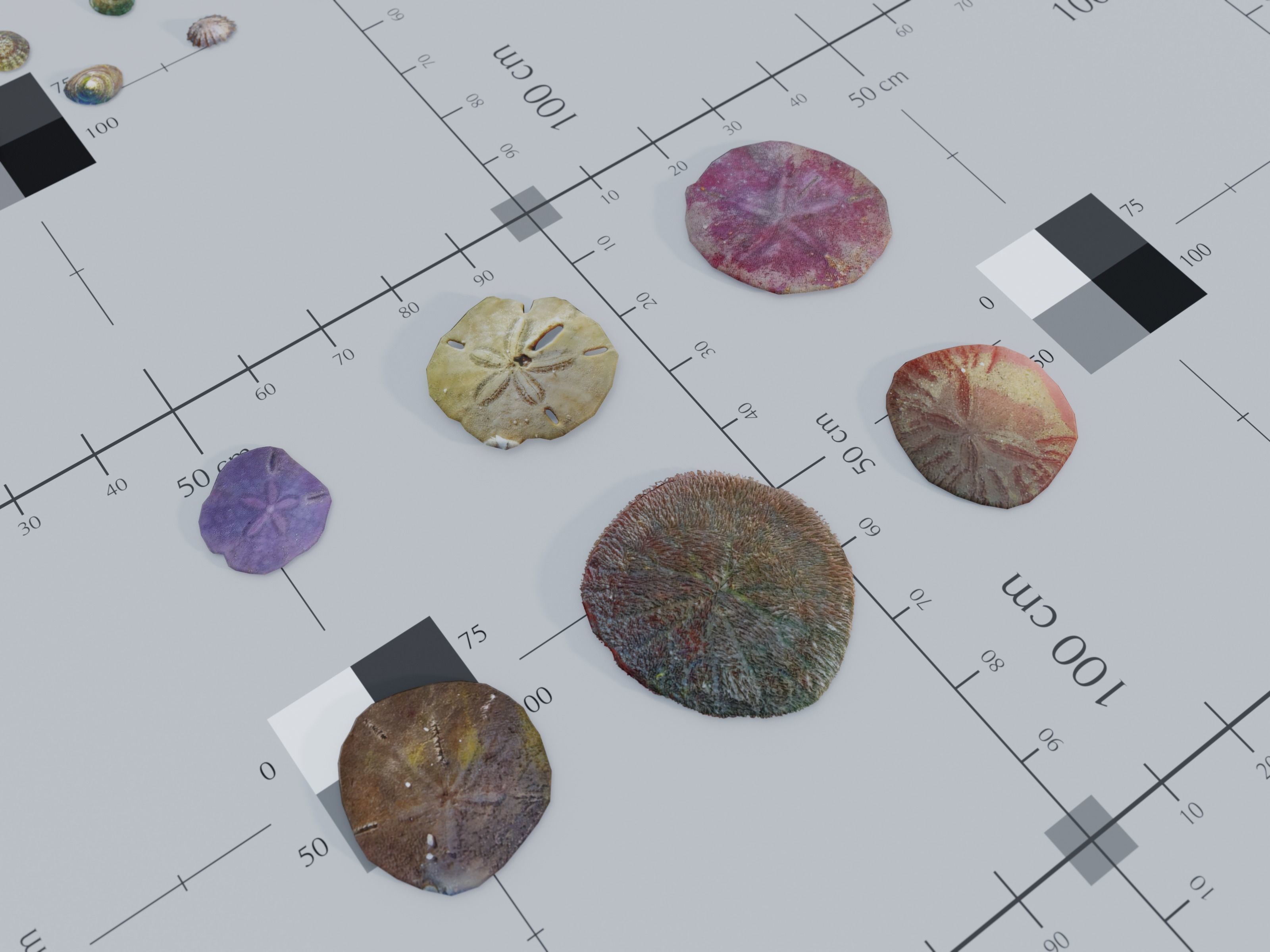 3D model Nature Assets - Marine Biome VR / AR / low-poly | CGTrader