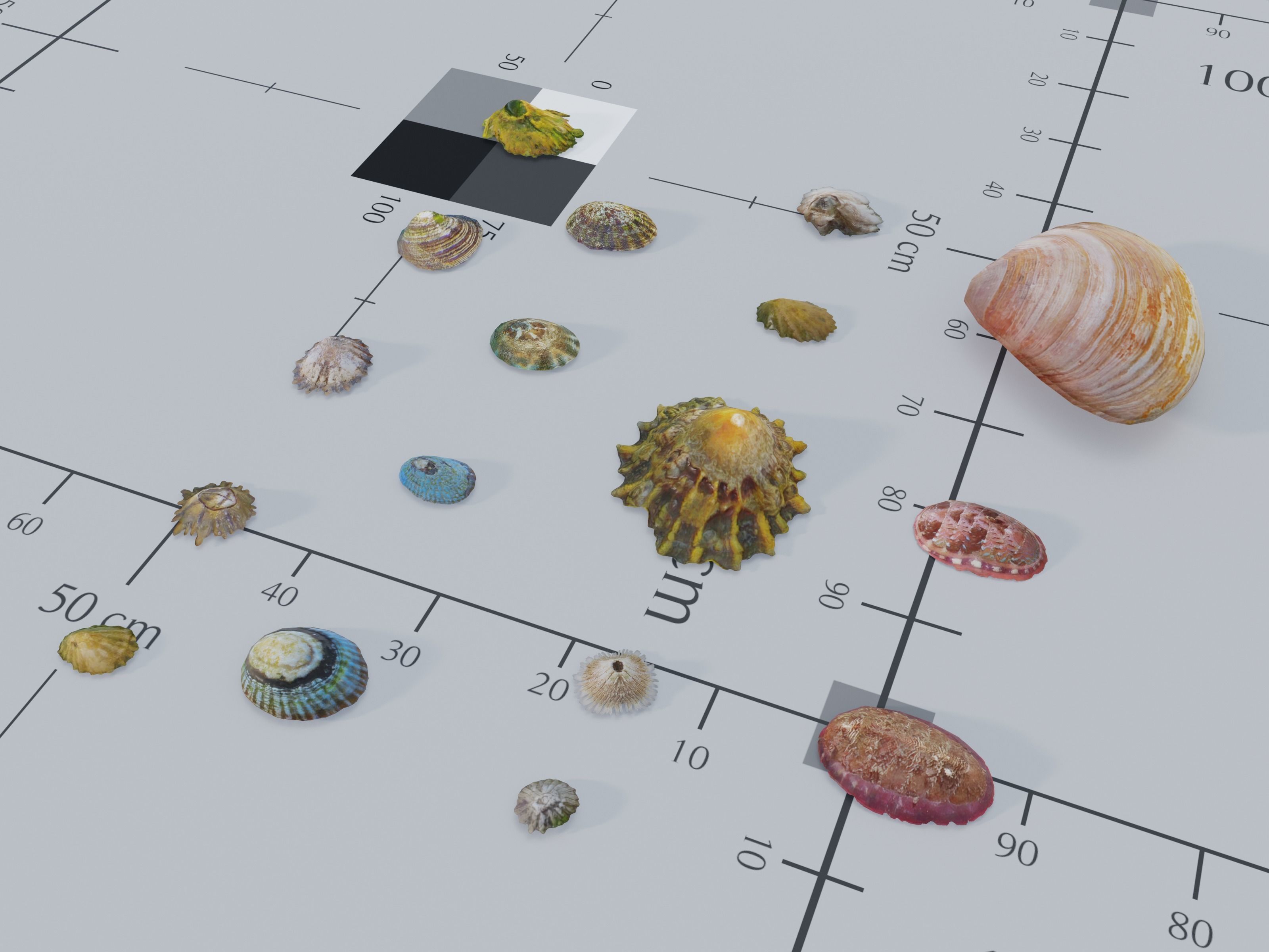 3D model Nature Assets - Marine Biome VR / AR / low-poly | CGTrader