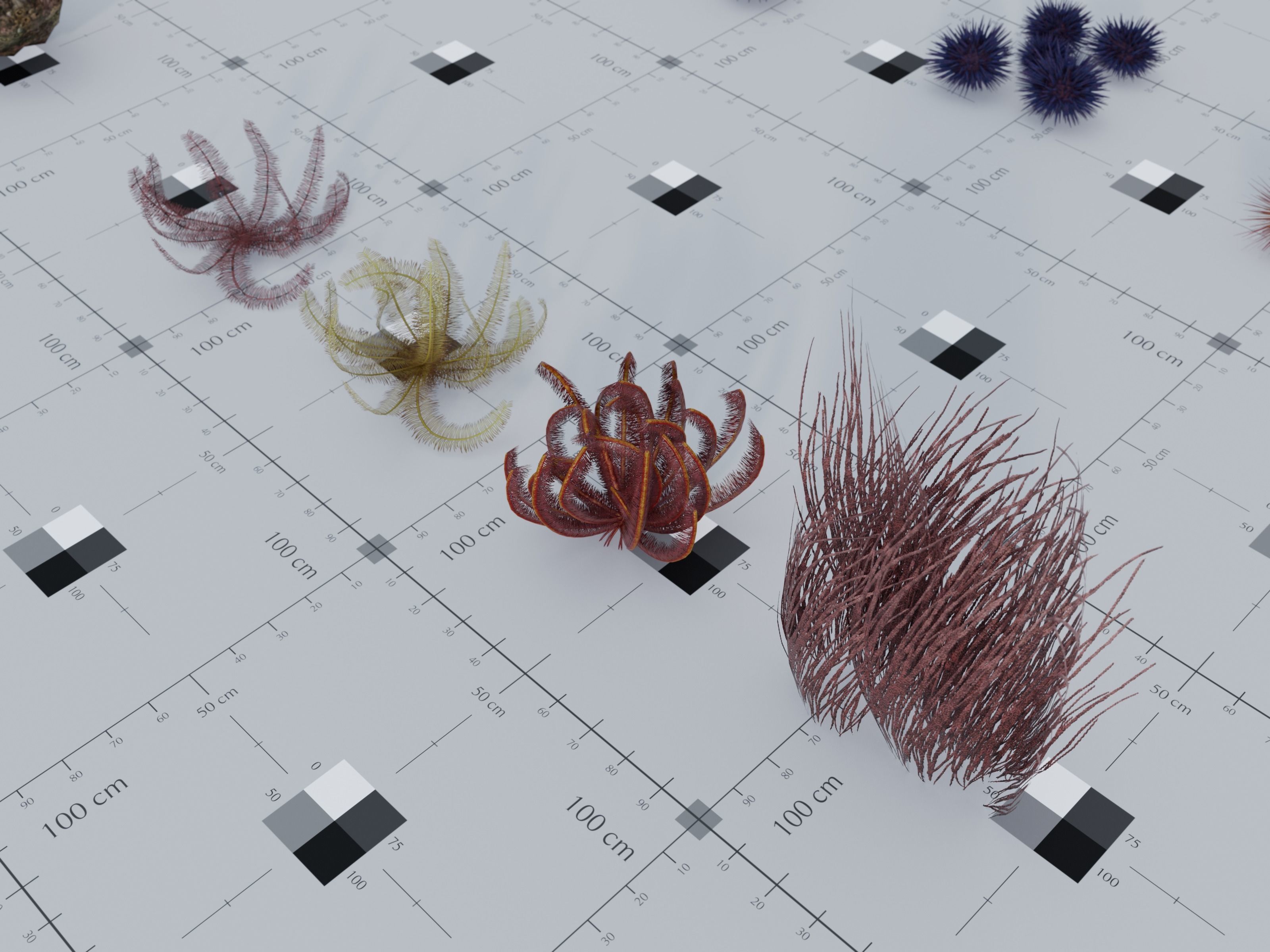 3D model Nature Assets - Marine Biome VR / AR / low-poly | CGTrader