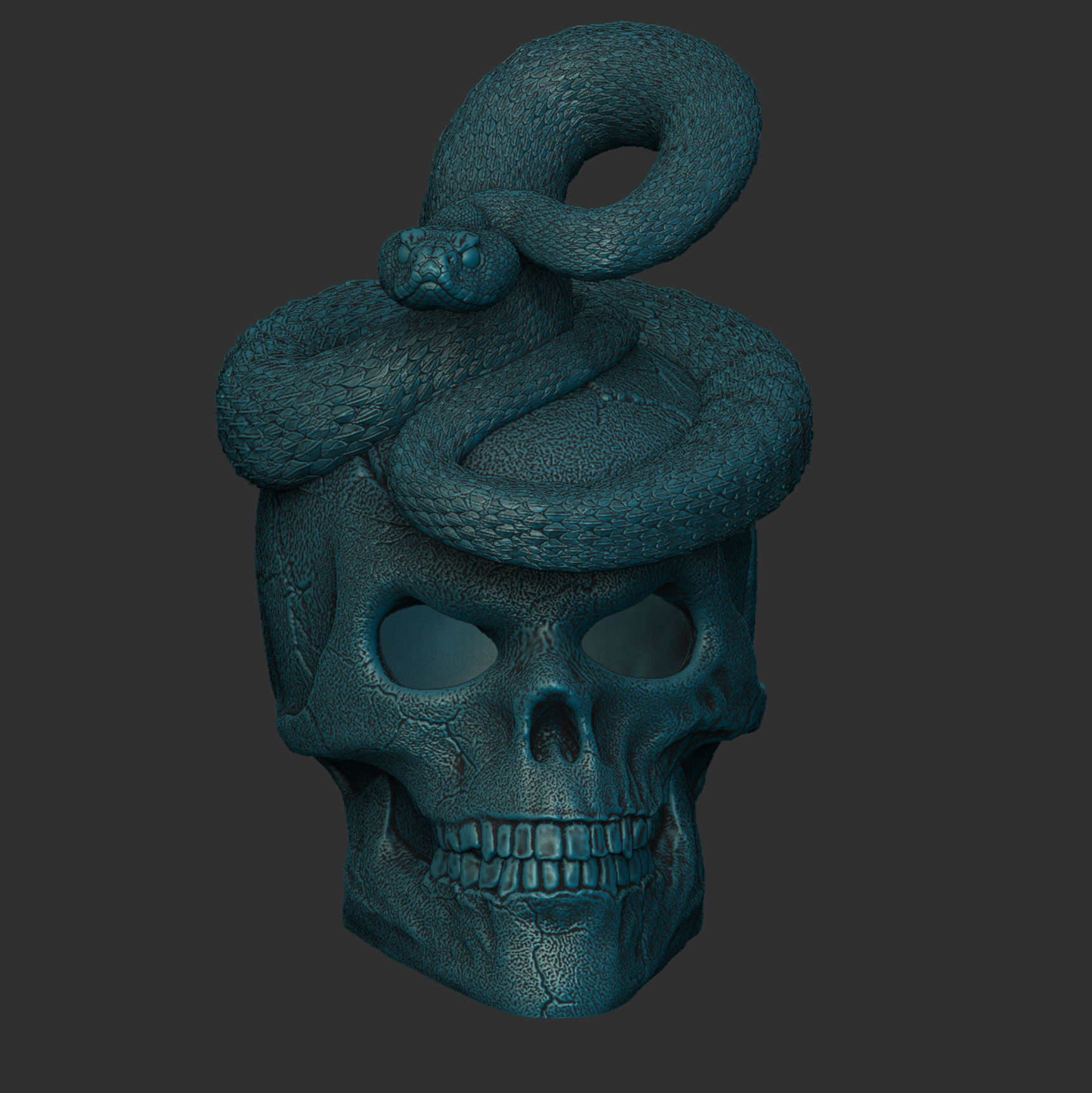 Skull with Rattlesnake - Eyes Open - Hollow Inside 3D model 3D ...