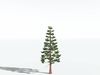 EVERYPlant Walchia 1 --16 Models-- 3D model | CGTrader