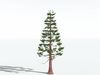 EVERYPlant Walchia 1 --16 Models-- 3D model | CGTrader