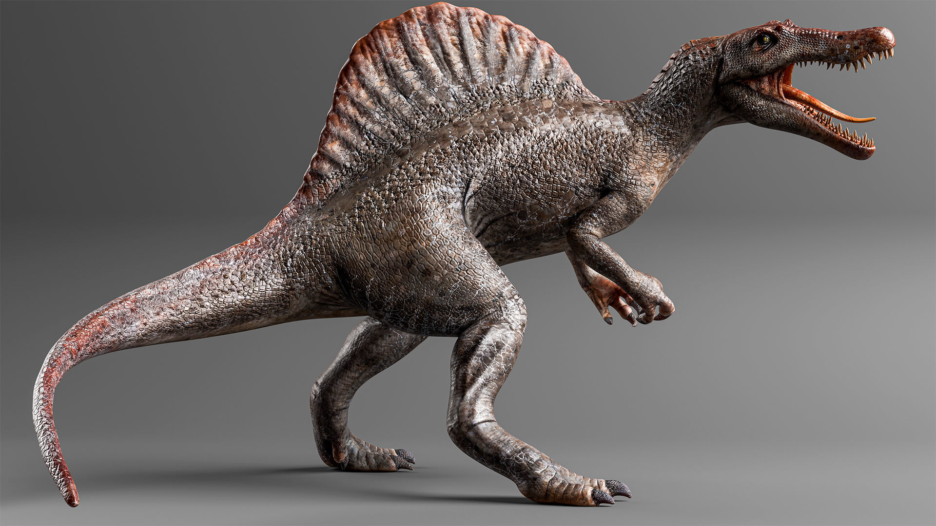 3D model SPINOSAURUS VR / AR / low-poly | CGTrader