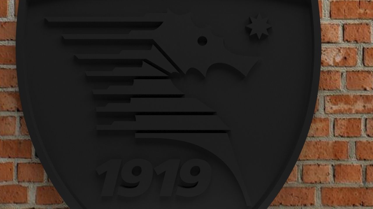 U S Salernitana 1919 Logo 3D model 3D printable | CGTrader
