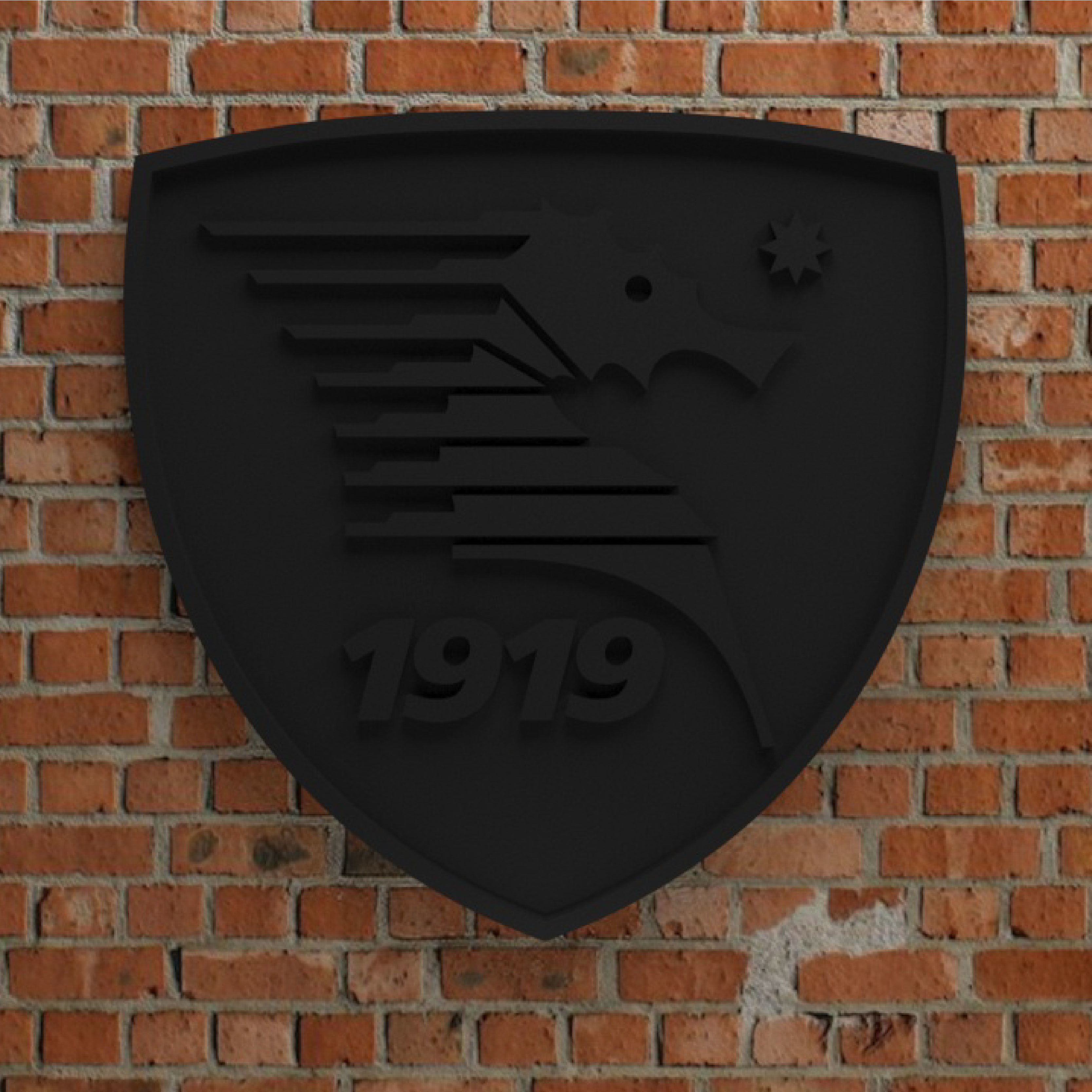 U S Salernitana 1919 Logo 3D model 3D printable | CGTrader