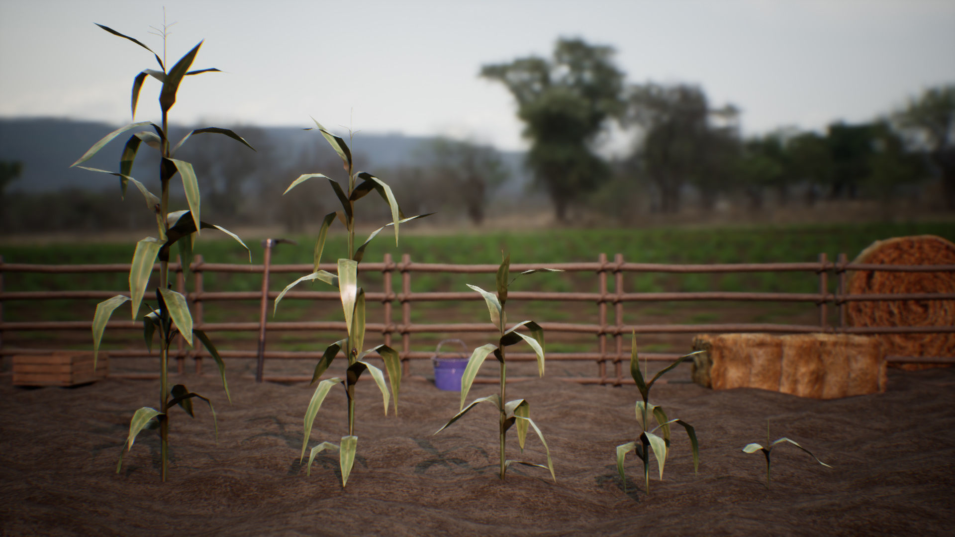 3D model Growing Farm Plants 30 Assets VR / AR / low-poly | CGTrader