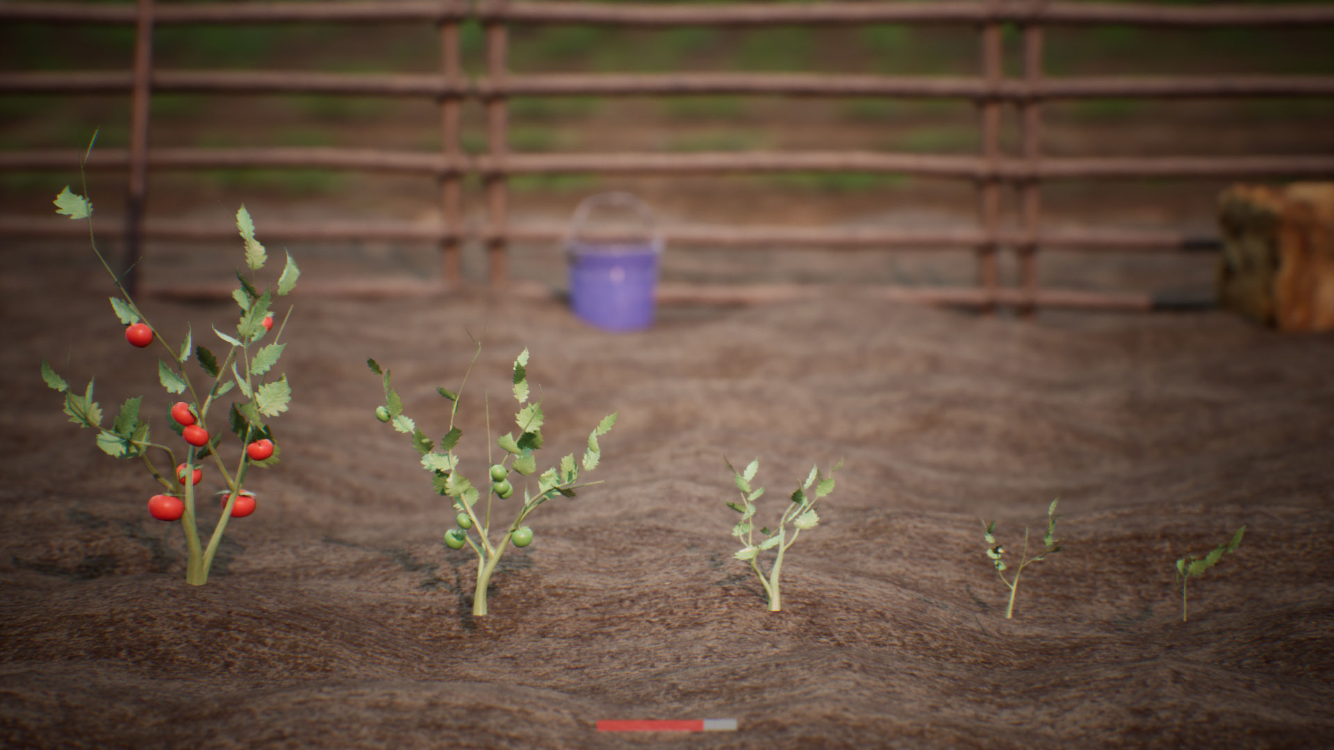 3D model Growing Farm Plants 30 Assets VR / AR / low-poly | CGTrader