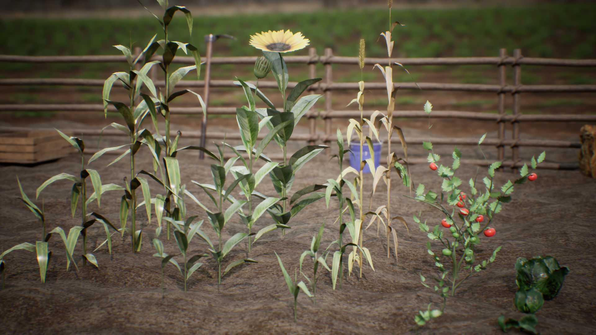 3D model Growing Farm Plants 30 Assets VR / AR / low-poly | CGTrader