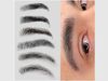 eyebrows on transparent background Texture | CGTrader