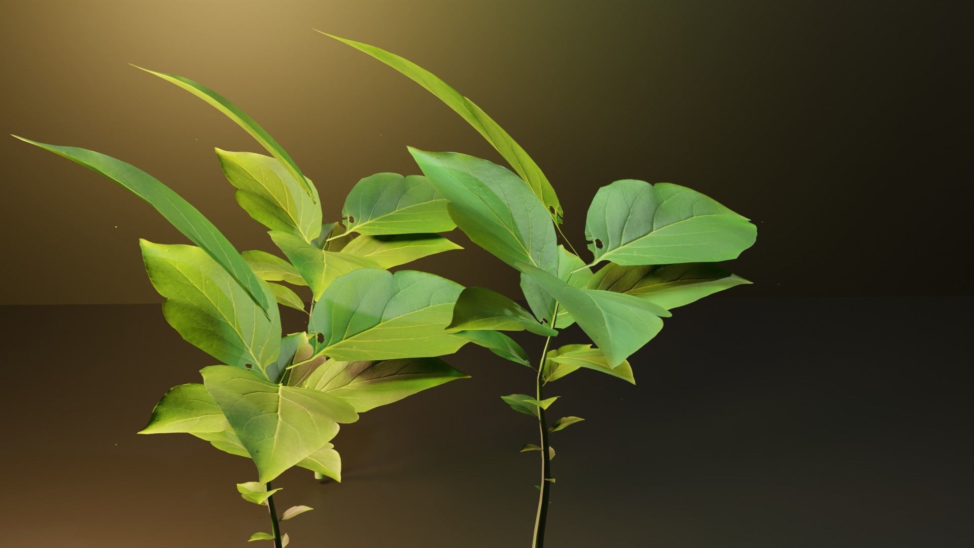 leaf Model free 3D model | CGTrader