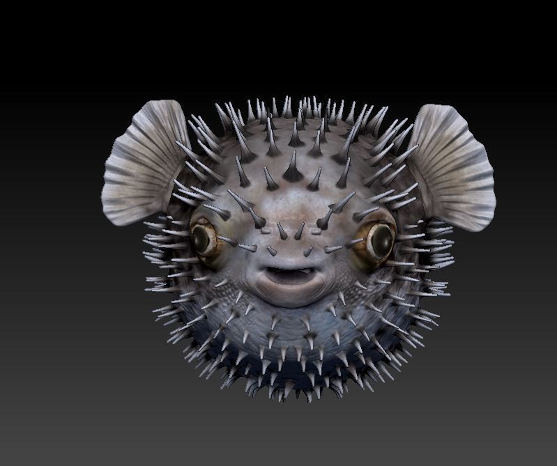 Diodon Puffer fish 3D model 3D printable | CGTrader
