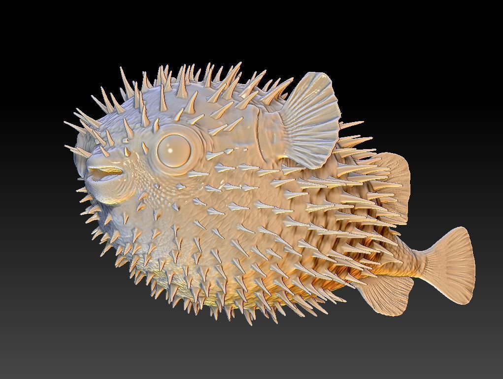 Diodon Puffer fish 3D model 3D printable | CGTrader