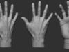 hand anatomy 3D model 3D printable | CGTrader