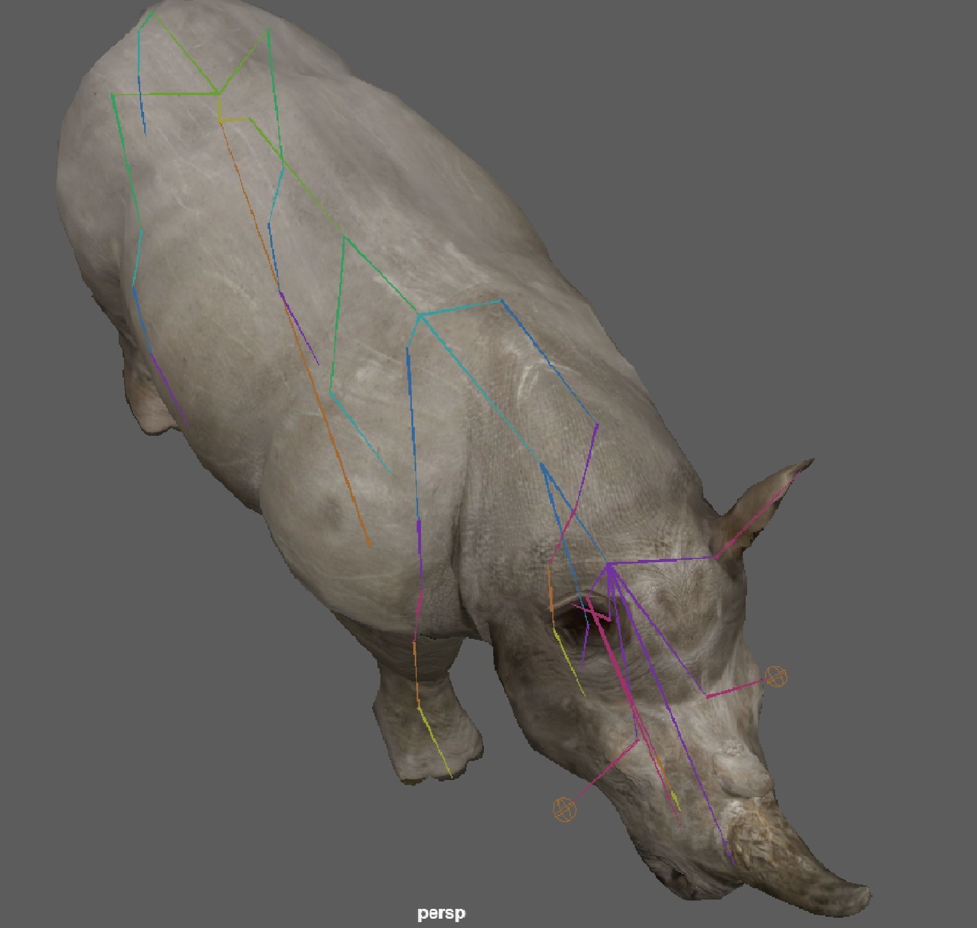 3D model Rhinoceros Rigged VR / AR / low-poly | CGTrader