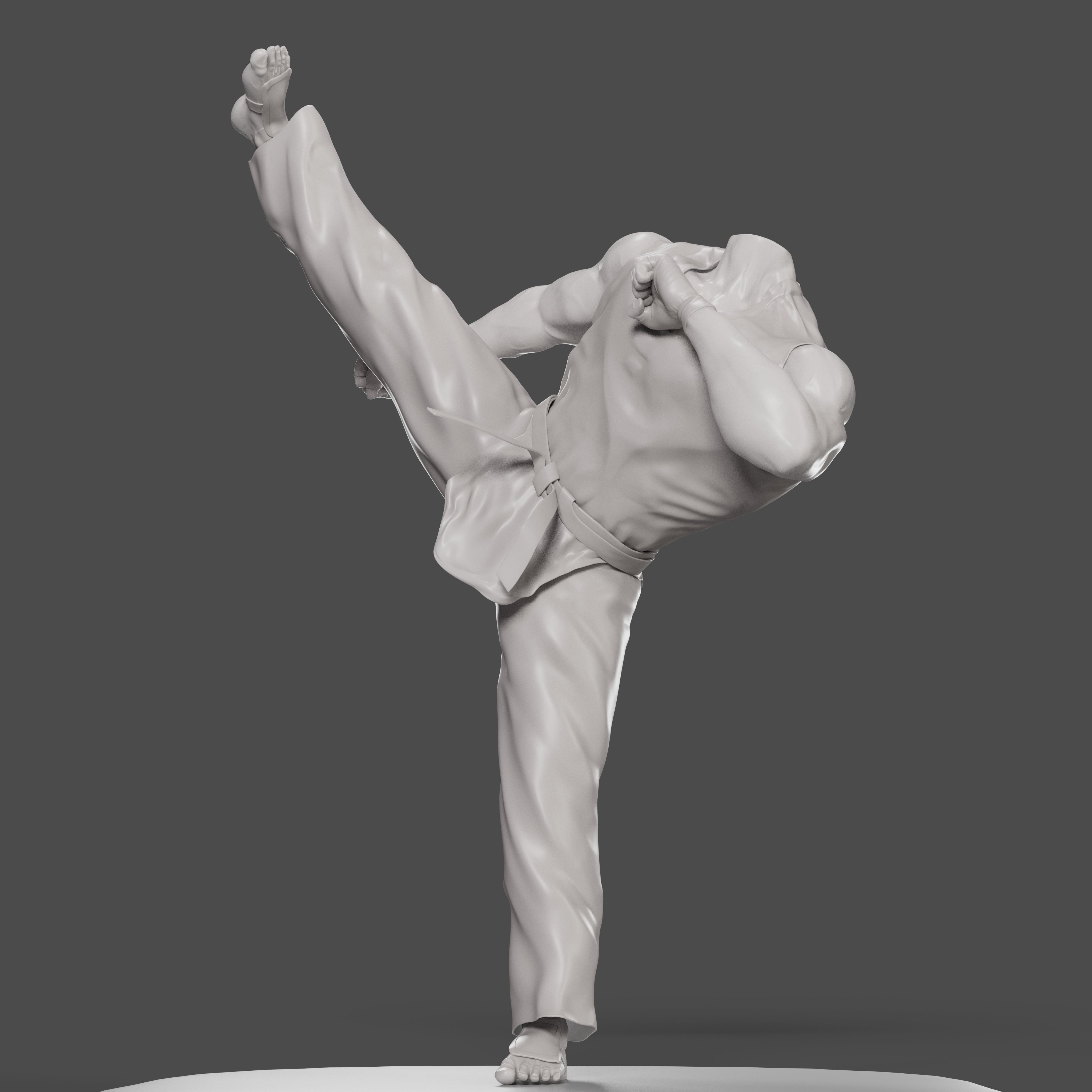 Karate Pose 3D model 3D printable | CGTrader