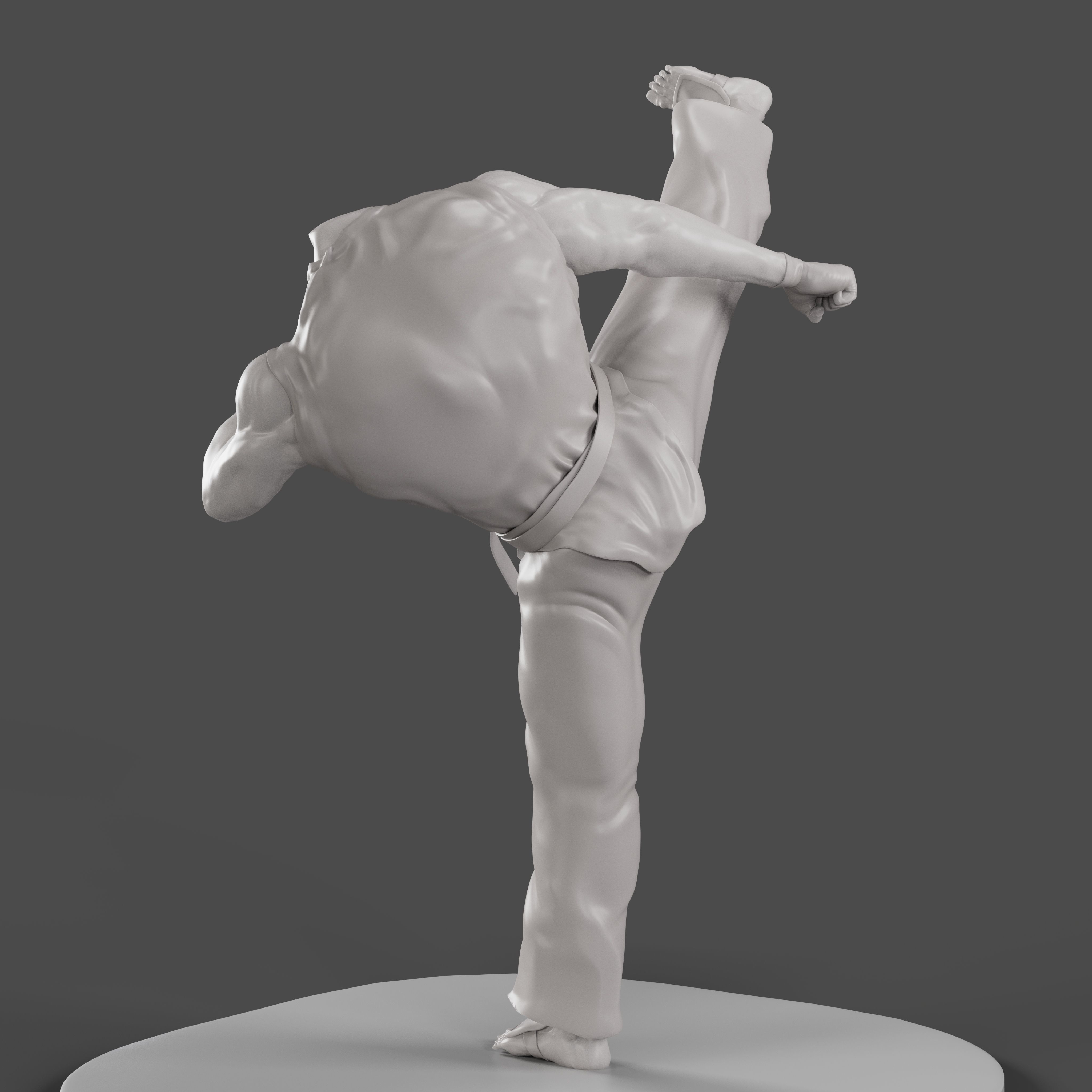 Karate Pose 3D model 3D printable | CGTrader