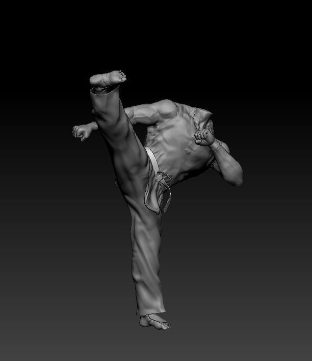 Karate Pose 3D model 3D printable | CGTrader