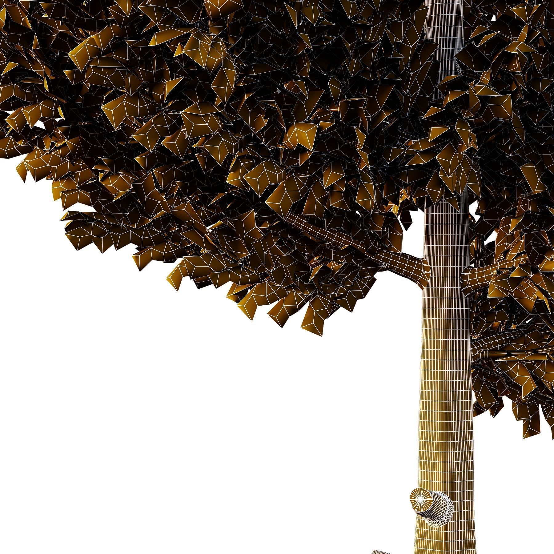 Cedar Tree01 3D model | CGTrader