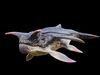 3D model Alien Whale Creature VR / AR / low-poly | CGTrader