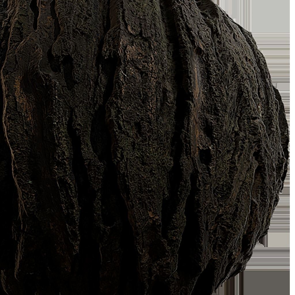 Bark Seamless Texture 2K - EXR 5 - JPG 5 Texture Texture | CGTrader