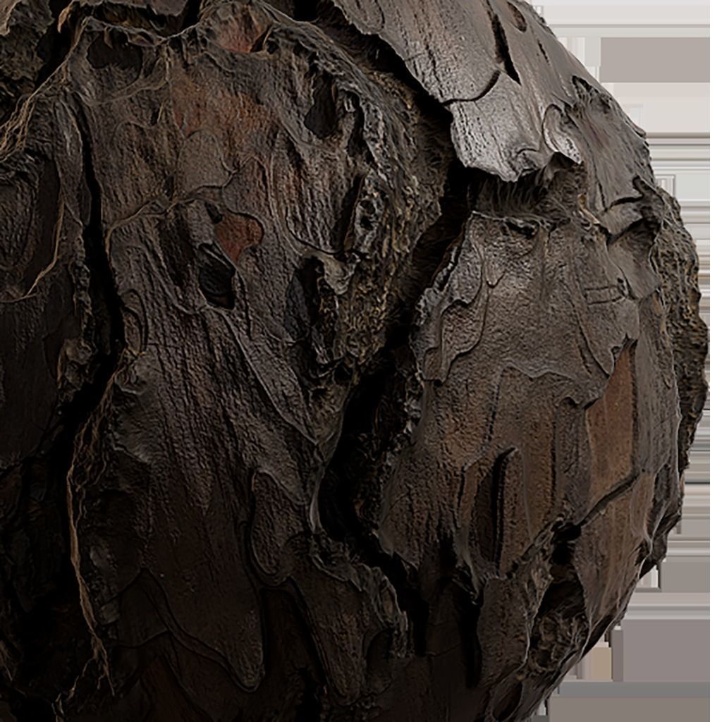 Bark Seamless Texture 2K - EXR 5 - JPG 5 Texture Texture | CGTrader