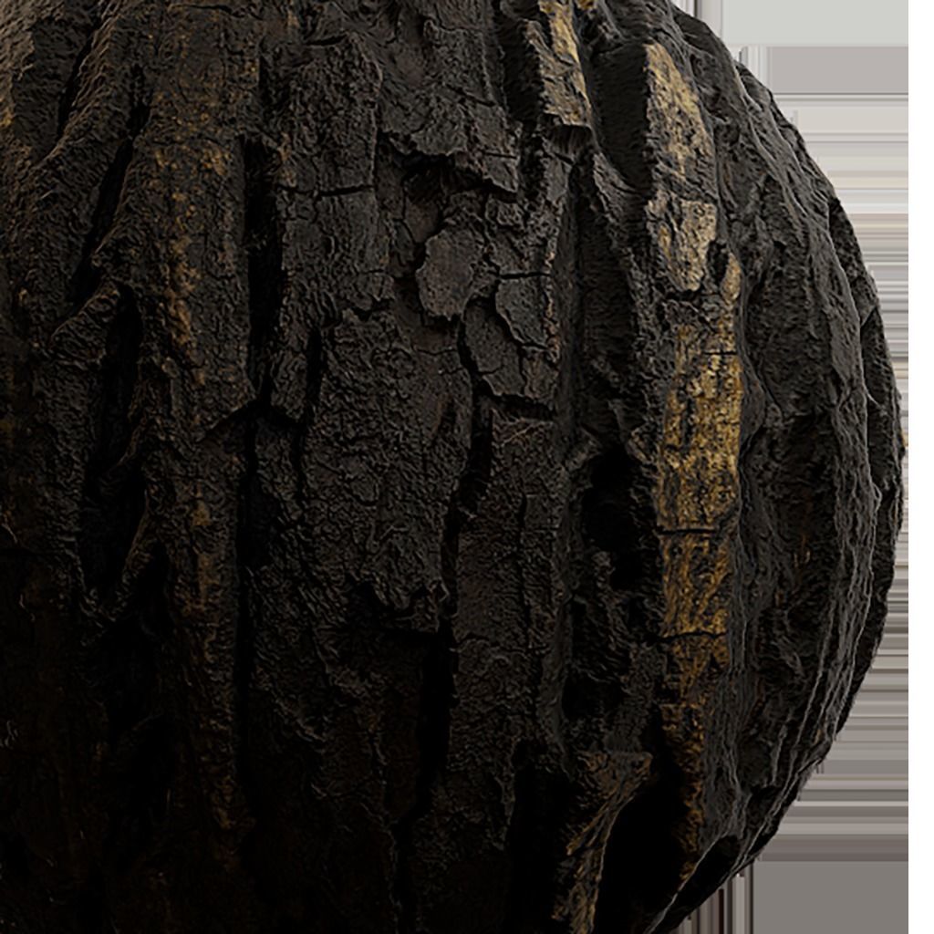Bark Seamless Texture 2K - EXR 5 - JPG 5 Texture Texture | CGTrader