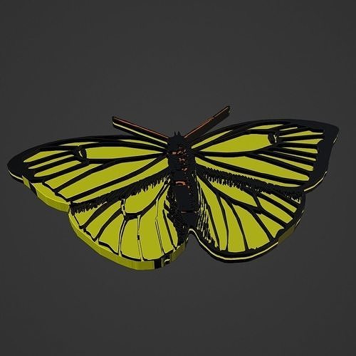 Butterfly 3D model 3D printable | CGTrader