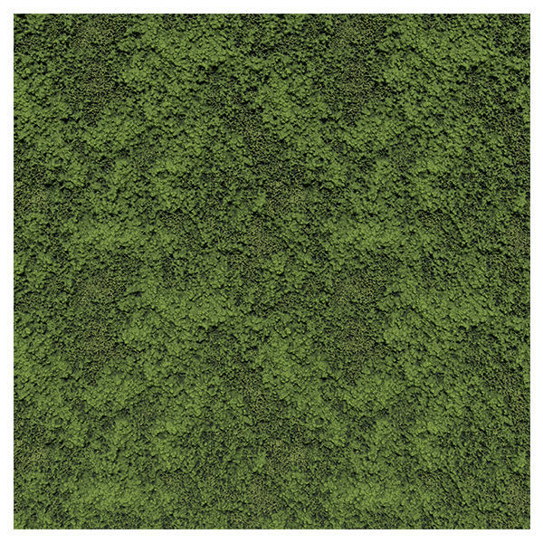 Moss 01 B free Texture | CGTrader