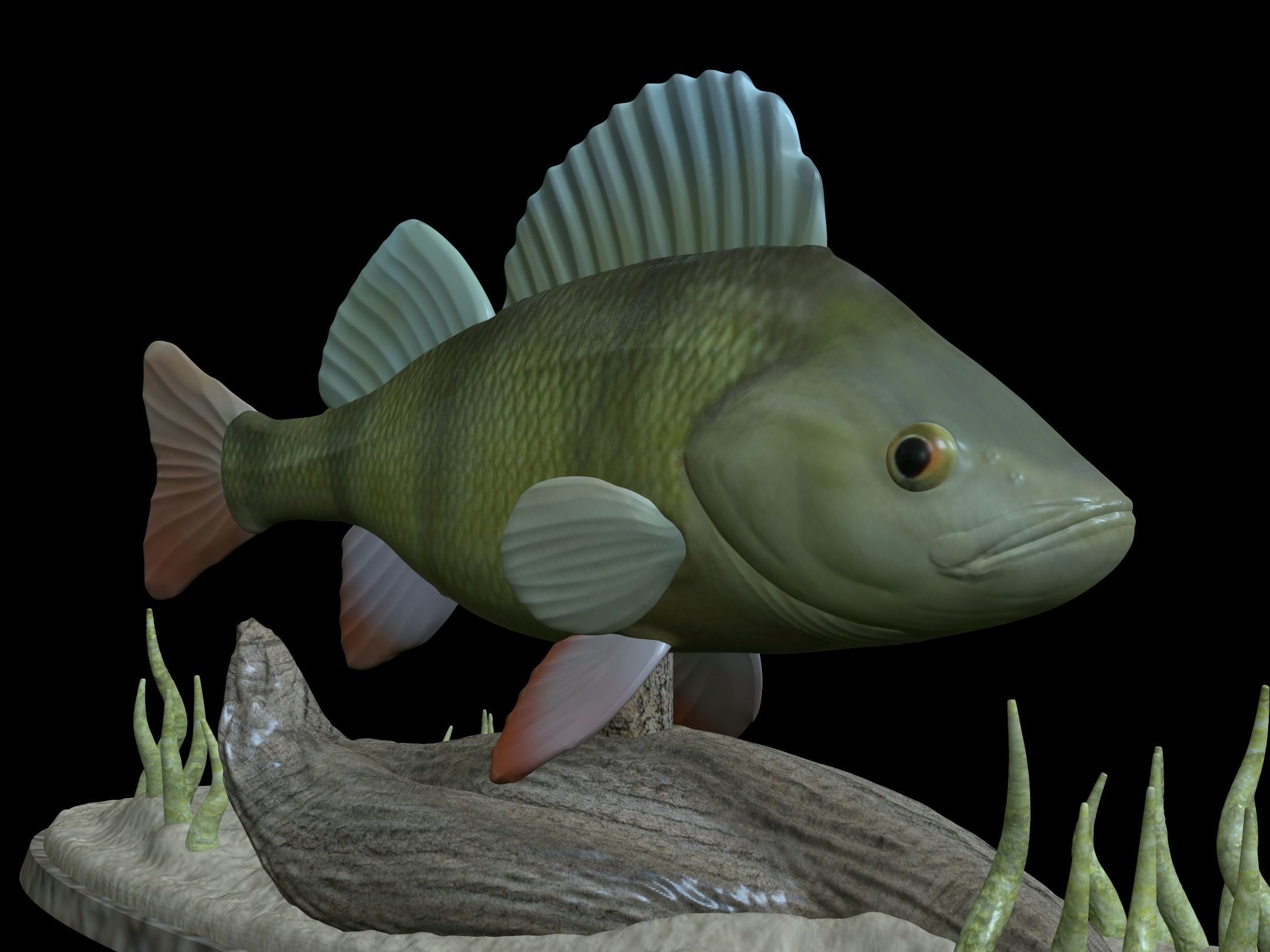 BIG PERCH UNDERWATER STATUE DETAILED TEXTURE FOR 3D PRINTING 3D model ...