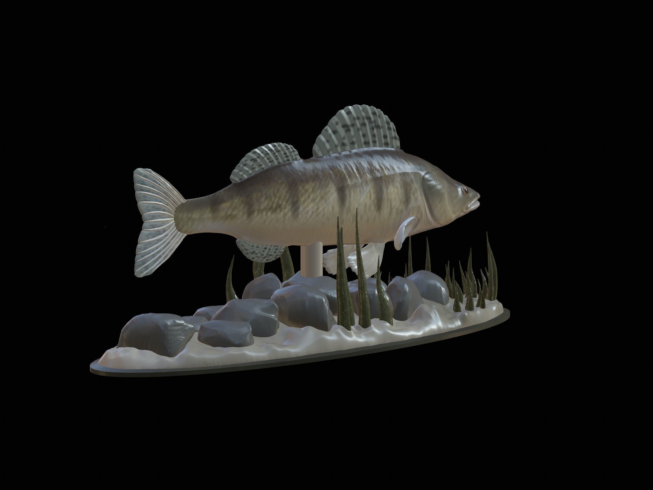 BIG ZANDER UNDERWATER STATUE DETAILED TEXTURE FOR 3D PRINTING 3D model ...