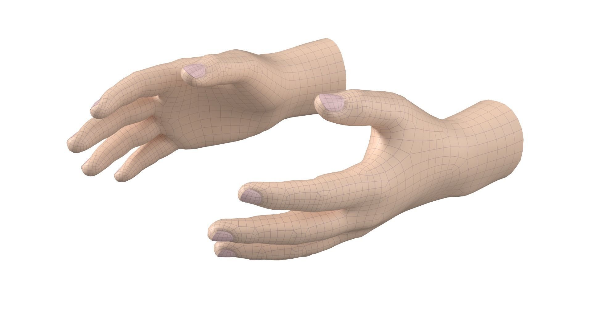 Male Hand Base Mesh 01 3D model | CGTrader
